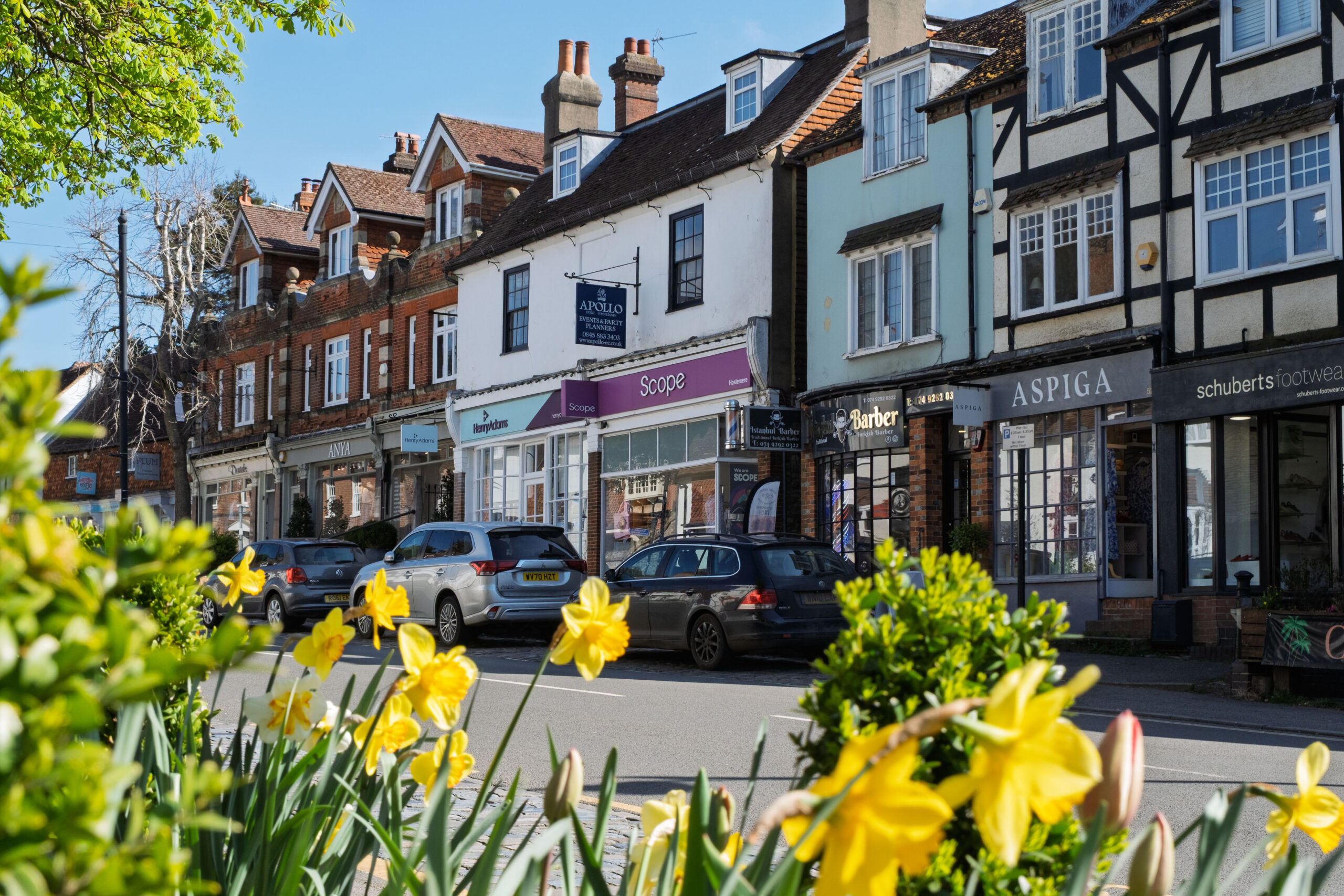 Home - Haslemere Town Council